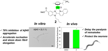 Piano-stool metal complexes as inhibitors of amyloid-β aggregation in ...