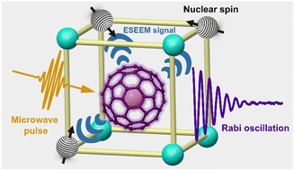 A 3D-assembled endohedral nitrogen fullerene in a metal–organic framework toward spin qubit and ...