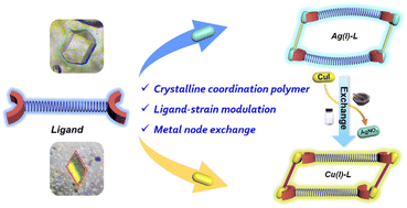 Metal node exchange-driven ligand-strain modulation strategy for one ...