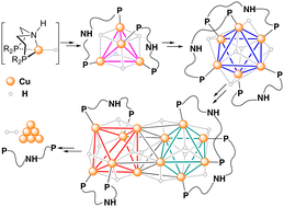 The rise and fall of copper hydride clusters. a snapshot of hexanuclear ...