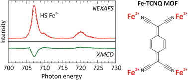 Robust high-spin Fe2+ centers in 2D TCNQ-based metal–organic frameworks ...