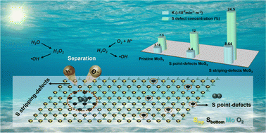 S defect-rich MoS2: differences of S point defects and S stripping ...