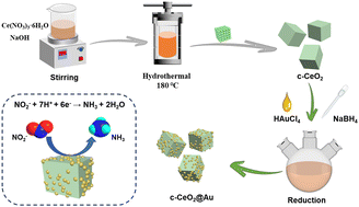 Influence of CeO2 support morphology on the structural and NO2−RR ...