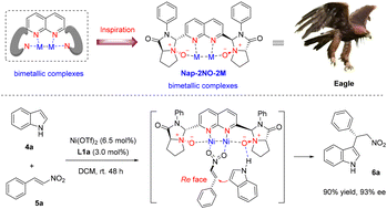 Naphthyridine–2NO, a new C2-symmetric rigid tetradentate bimetallic ...
