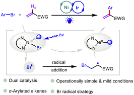 Dual photoredox/nickel-catalyzed Mizoroki–Heck cross-coupling reactions - Organic Chemistry ...