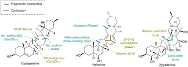 Strategic convergent synthesis en route to Veratrum steroidal alkaloids ...