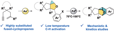 Au- and Pd-catalyzed cyclization processes: synthesis of ...