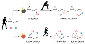 Alkene insertion enables ring-opening of vinyl epoxides: a theoretical ...
