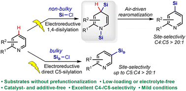 Site-selective electrochemical C–H silylations of pyridines enabled by ...