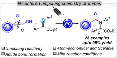 Exploring N-centered umpolung reactivity in photoredox-catalyzed ...