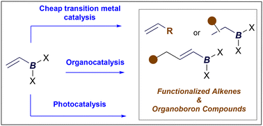 The reactivity of alkenyl boron reagents in catalytic reactions: recent ...