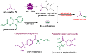 N-heterocyclic carbene-catalyzed decarboxylative cross-electrophile ...