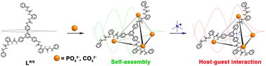 Hierarchical amplification of chirality in anion-coordinated ...