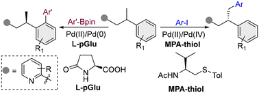 Ligand-enabled enantio- and site-selective remote C–H arylation of 2-(2 ...