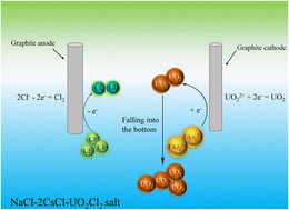Study on the electrodeposition of uranium in chloride molten salt - RSC ...