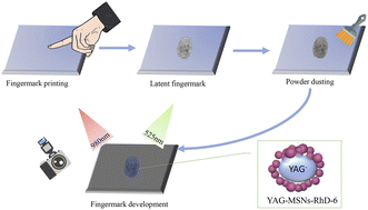 Development of dual-channel fluorescent mesoporous SiO2 nanosphere ...