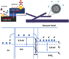 Enhanced acetone gas-sensing characteristics of Pd–NiO nanorods/SnO2 ...