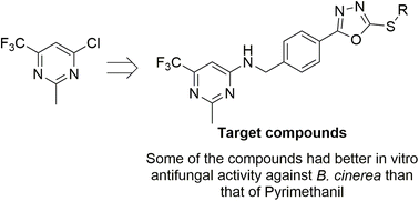 Synthesis, biological evaluation, and molecular docking of novel ferulic acid derivatives ...
