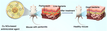 Ultrasmall copper nanoclusters as an efficient antibacterial agent for ...