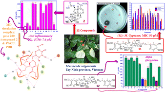 In vitro and in silico docking and molecular dynamic of antimicrobial activities, alpha ...
