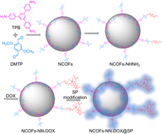 Hydrazone-functionalized nanoscale covalent organic frameworks as a ...