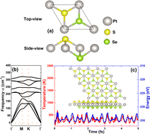 Vacancy-and doping-mediated electronic and magnetic properties of PtSSe ...