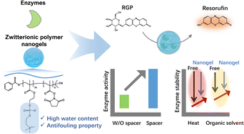 Enzyme stability in polymer hydrogel–enzyme hybrid nanocarrier ...