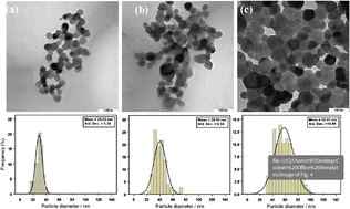 Cutting-edge developments in zinc oxide nanoparticles: synthesis and ...