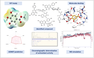 Phytochemical on-line screening and in silico study of Helianthemum ...