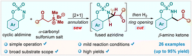 Base mediated aza-[2 + 1] annulation and regioselective aziridine ring ...