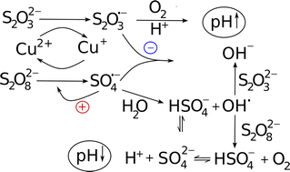Radical chain mechanism for the S2O82−–S2O32−–Cu(ii) flow system ...