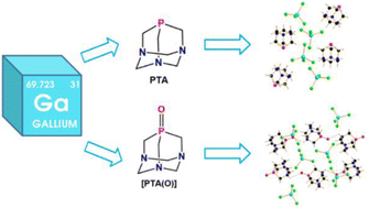 Beyond transition block metals: exploring the reactivity of phosphine ...