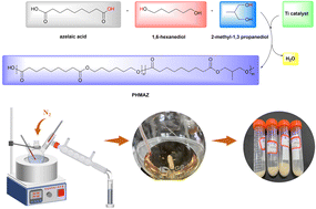 Synthesis of azelaic acid copolyester plasticizers and their ...