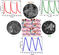 2H-SnS2 assembled with petaloid 1T@2H-MoS2 nanosheet heterostructures for room temperature NO2 ...