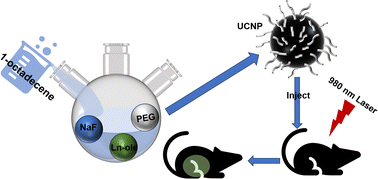 Direct large-scale synthesis of water-soluble and biocompatible ...