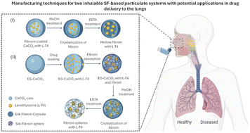 Inhalable drug-loaded silk fibroin carriers for pulmonary drug delivery ...