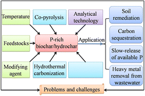 Production, characterization and environmental remediation application of emerging phosphorus ...