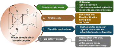 Synthesis, kinetics, mechanisms, and bioactivity evaluations of a novel ...