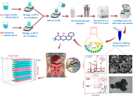 Copper–Vit B3 MOF preparation, characterization and catalytic ...