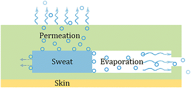 Quantitative analysis of sweat evaporation loss in epidermal ...