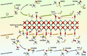 Catalytic hydrolysis of methyl mercaptan and methyl thioether on ...