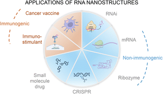 Therapeutic applications of RNA nanostructures - RSC Advances (RSC ...