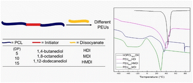 Synthesis and characterization of macrodiols and non-segmented poly ...