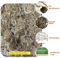 Splitting and authentication of the newest retrieved cellulose-rich ...