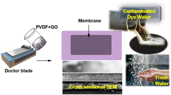 Shear-aligned graphene oxide nanosheets incorporated PVDF composite membranes for selective dye ...