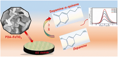 Polydopamine functionalized FeTiO3 nanohexagons for selective and ...