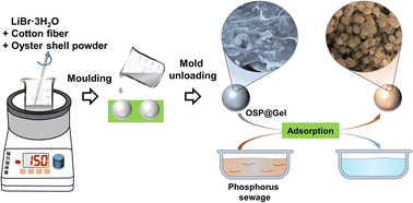 Oyster shell powder-loaded cellulose gel beads as a high-efficiency ...