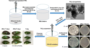 Fabrication and characterization of a chitosan/cyclodextrin/TiO2-NPs ...