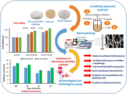 Synthesis and characterization of new electrospun medical scaffold-based modified cellulose ...