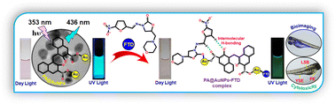 Surface-designed AuNPs-based fluorescent probe for ultra-sensitive ...
